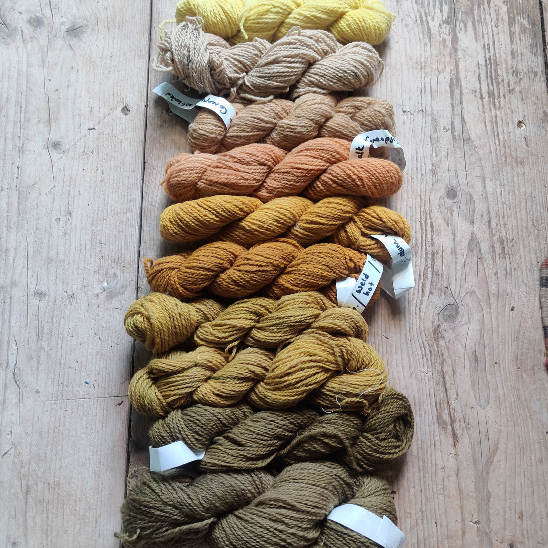 Natural Dye Kit – The Woven Briar
